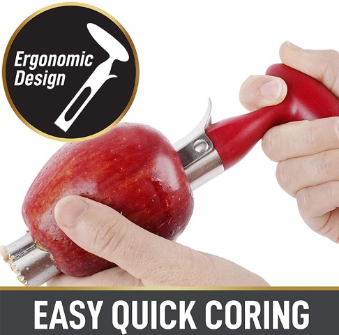 Premium Stainless Steel Apple Corer Tool – Oasis Store