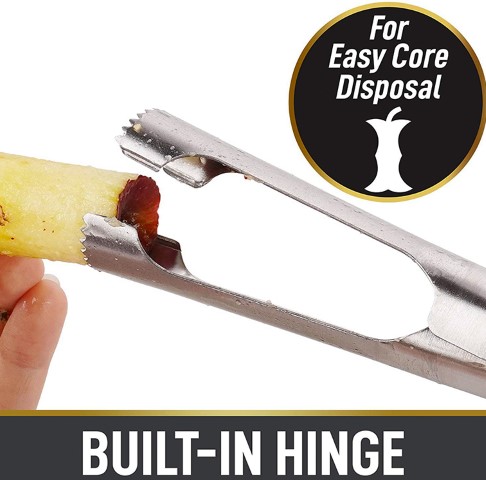Premium Stainless Steel Apple Corer Tool – Oasis Store